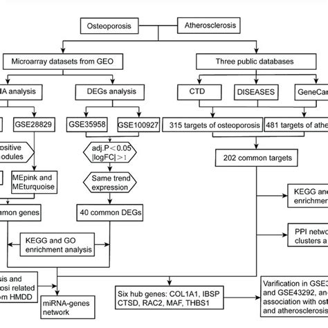 Research Design Flow Chart Download Scientific Diagram