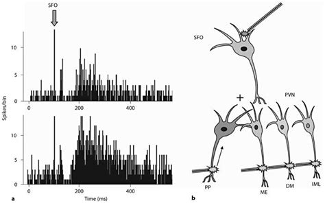 This Figure Shows Peristimulus Histograms A Constructed Using Download Scientific Diagram