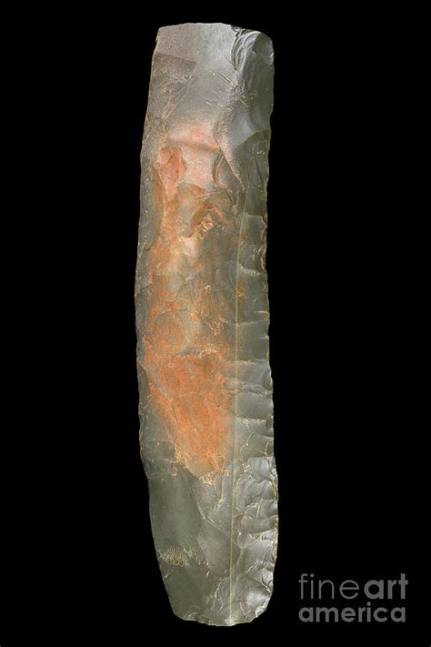 Neolithic Two Edged Curve Gouge Photograph By Pascal Goetgheluckscience Photo Library Pixels