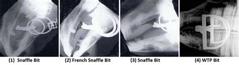 Bit Pressure Comparisons Oakridge Equestrian