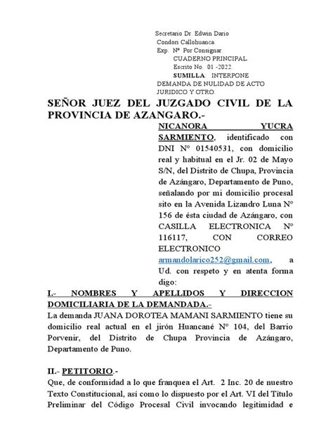 Demanda De Nulidad De Acto Juridico Descargar Gratis Pdf Demanda