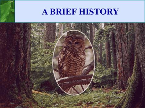 Environmentalism Stewardship And Ethics