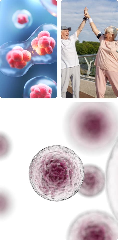 Stem Cell Biology Regenerative Medicine Of Orange County