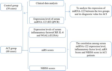 Abnormal Expression Of Mirna 122 In Cerebral Infarction And Related
