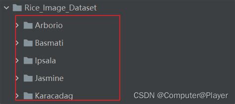 pytorch图像识别，识别rice image dataset数据集。 5种不同的水稻图像数据集 csdn博客