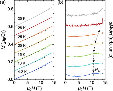 Magnetic Field Dependence Of A Magnetization M And B Its Field