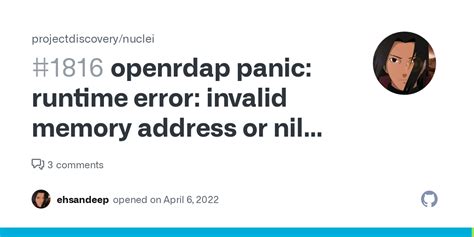 Openrdap Panic Runtime Error Invalid Memory Address Or Nil Pointer Dereference Issue