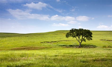 Voice Of The Day Halford E Luccock From Behind The Pulpit