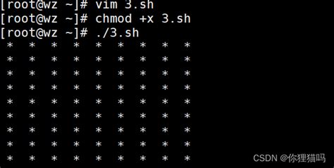Shell脚本for、while循环及脚本实操shell脚本while循环跳出再进入 Csdn博客