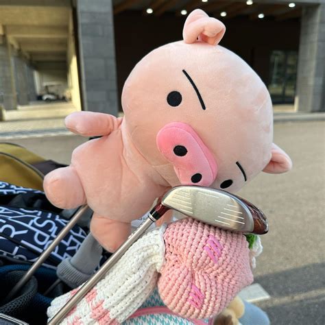 또앵골프 후훗 요즘 나의 골프 동반자중 가장 귀여운애 바로바로 ‘코리 앤 규규‘ 중 규규🐷