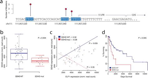 Genome Wide Analysis Of Noncoding Regulatory Mutations In Cancer Abstract Europe PMC