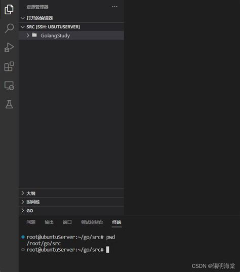 云服务器go开发环境配置 vscode远程连接 vscode ssh主机中如何使用go csdn博客