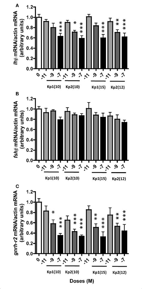 Dose Dependent Effect Of Eel Kiss Peptides On Pituitary Lhβ A Fshβ