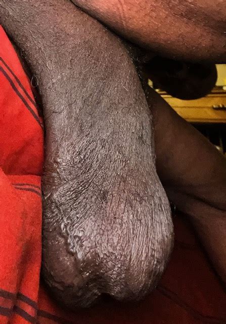 Black Bull Balls 2023 Photo 6