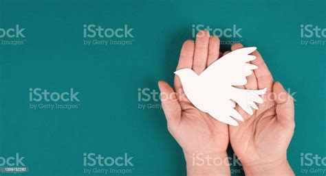 손에 흰색 비둘기를 들고 평화의 상징 종이 잘라 텍스트 에 대한 공간을 복사 0명에 대한 스톡 사진 및 기타 이미지 0명