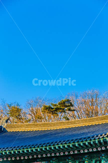 기와 선 전통 사찰 패턴 사진 이미지 일러스트 캘리그라피 봉구58작가