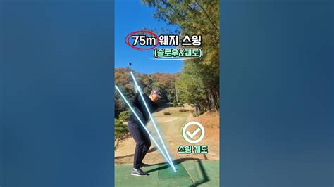 다운스윙 궤도가 좋으면 공은 똑바로~⛳️ Golf Golfswing 골프 골프레슨 골프연습 골프스윙 골린이성장일기 골린이 아이언잘치는법 아이언스윙 아이언