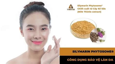 Silymarin Phytosome® Với Công Dụng Bảo Vệ Làn Da Thiên Tuế