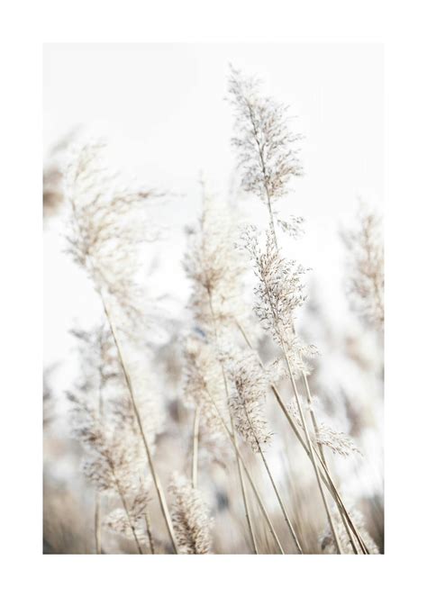 Waves In Line Canvas Print Minimalist Ocean Art Desenio