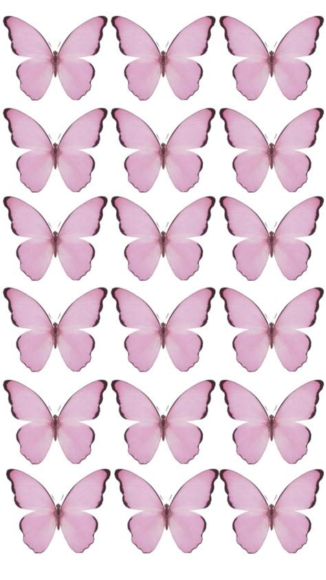 Borboletas Para Imprimir Rosa