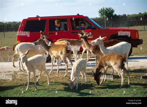 African Safari Wildlife Park Ohio Hi Res Stock Photography And Images