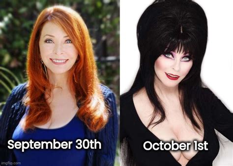 Elvira Memes And S Imgflip