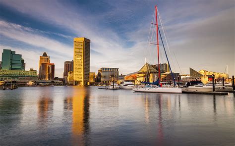 Maryland Medical License MD Physician License Credidocs