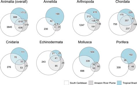 Euler Diagrams Indicating The Number Of Exclusive And Shared Species Of