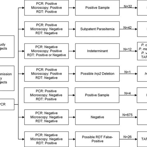 Diagnostic Testing Algorithm And Results Download Scientific Diagram