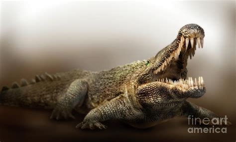 Redondasaurus Phytosaur Photograph By Masato Hattoriscience Photo