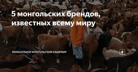 5 монгольских брендов известных всему миру Mongolshop Монгольский кашемир Дзен