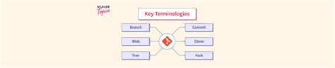 Git Terminology Scaler Topics