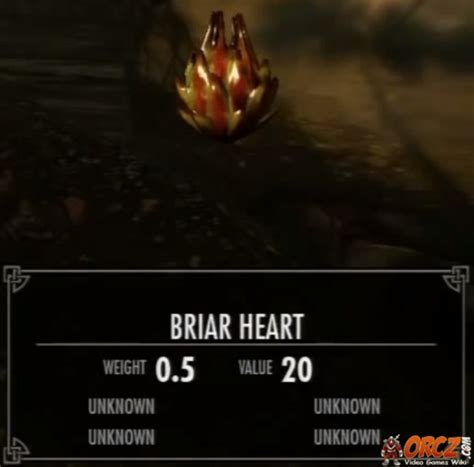 Skyrim Briar Heart The Video Games Wiki