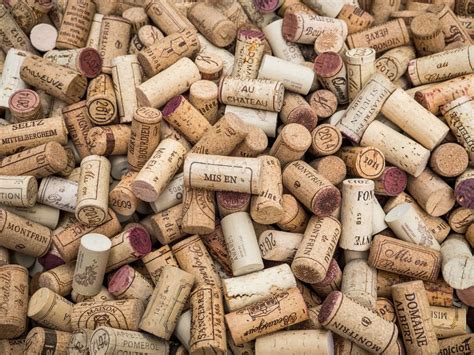 Old World Vs New World Wine Whats The Difference
