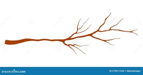 Tree Branch Twig Hand Drawn Illustration Stock Vector Illustration