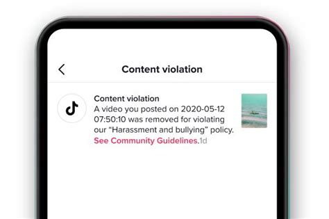 TikTok Will Now Tell You Why It Removed Your Video The Verge