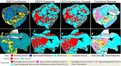 Predicted Heatmaps Of Test Cases Showing Distribution Of Download Scientific Diagram
