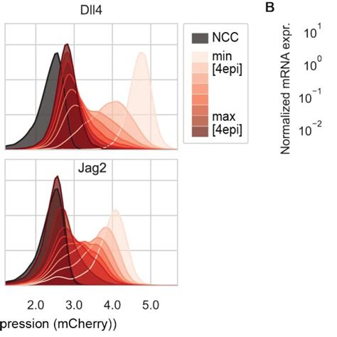 Figure Supplement 2 The Tet Off System Enables Stable Ligand