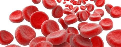 Обозначения и сдача анализа крови на гемоглобин (Hb)