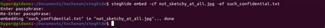 steganography hide text within an image file using steghide techenum