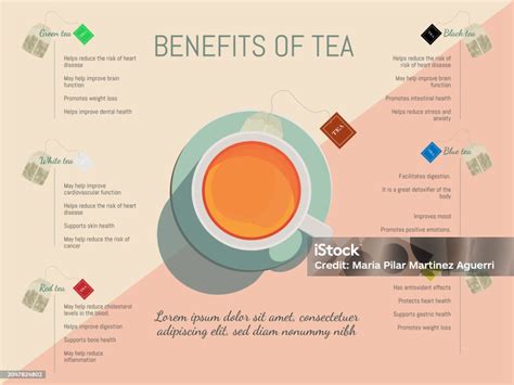 이미지 중앙에 있는 차 한 잔의 인포그래픽과 다양한 종류의 차와 그 안에 둘러싸여 있습니다 차 뜨거운 음료에 대한 스톡 벡터 아트 및 기타 이미지 Istock