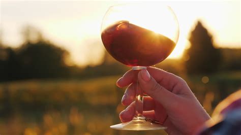 Premium Stock Video Woman Holding Red Wine Glass