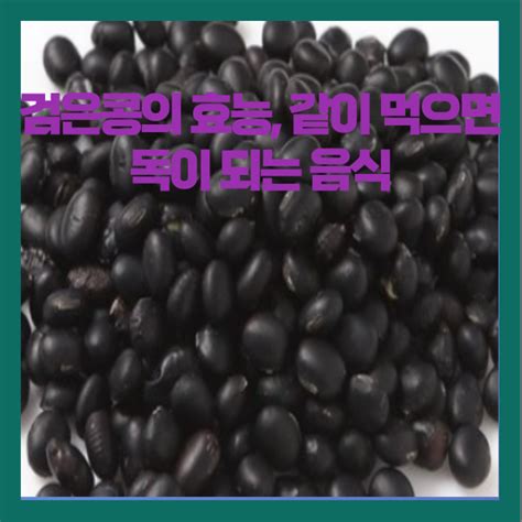 검은콩의 효능 같이 먹으면 좋은 음식과 독이 되는 음식 네이버 블로그