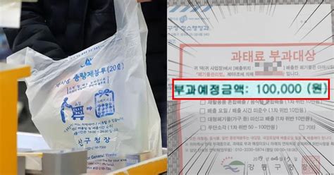 이거 넣고 버렸다가 과태료 폭탄 맞았어요 종량제 봉투에 절대 넣어서는 안되는 쓰레기 1가지 모르면 손해 핵꿀팁