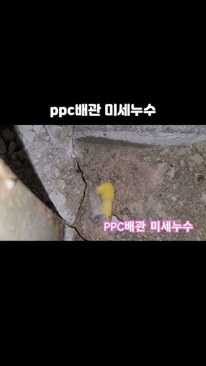 싱크대 아래 Ppc배관미세누수 Shorts 싱크대아래수도누수 Ppc엘보갈라짐 Ppc배관미세누수 Youtube