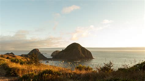 Hidden Along The Oregon Coast Is A Pristine Beach Town With Forest