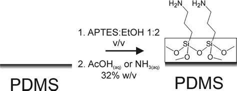 A Rapid Inexpensive Surface Treatment For Enhanced Functionality Of Polydimethylsiloxane