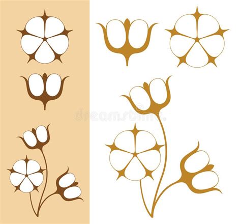 Cotton Gossypium Stock Vector Illustration Of Flower 15342845