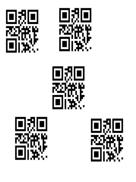 Barcode 5 Data Pdf