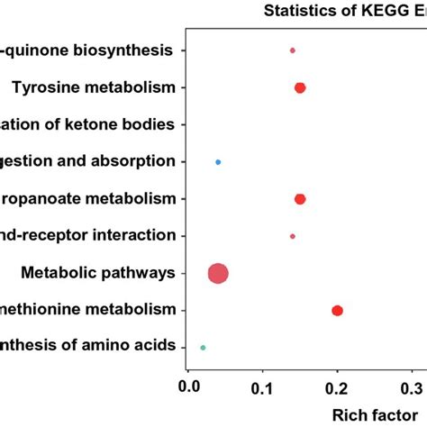 Metabolic Differences Between The Two Cohorts A Heatmap Showed